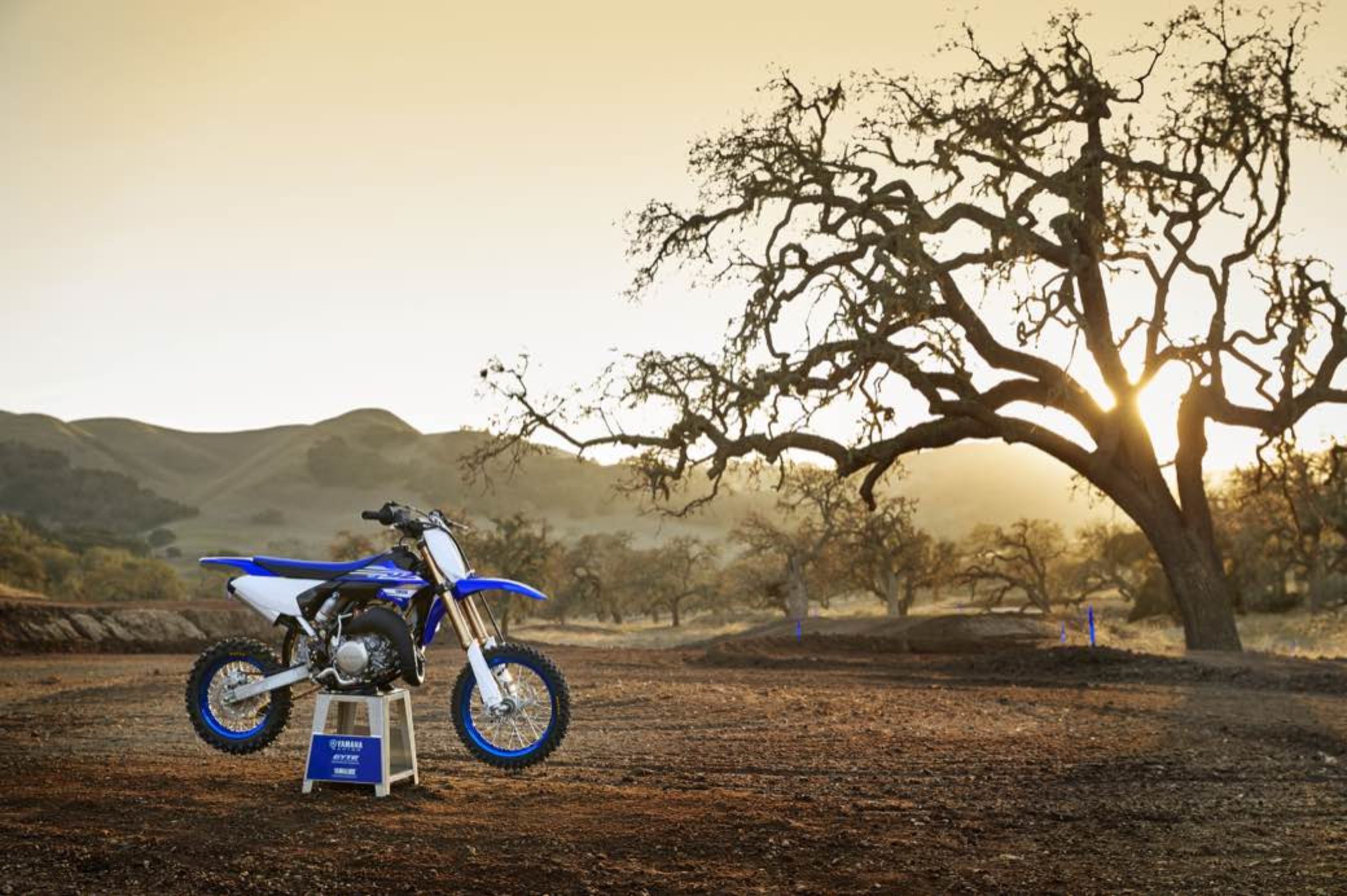 Blue is the colour - Yamaha launch 2018 YZ65